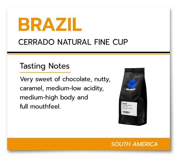 Brazil Cerrado Natural Fine Cup - Bluekoff : Good Coffee Maker