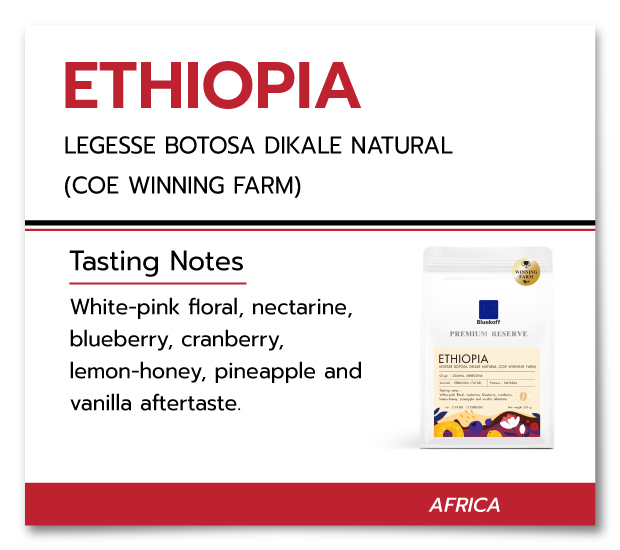E1 Legesse Botosa Dikale Natural (COE Winning Farm) - Bluekoff : Good ...