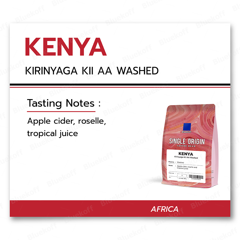 Kenya Kirinyaga Kii AA Washed - Bluekoff : Good Coffee Maker