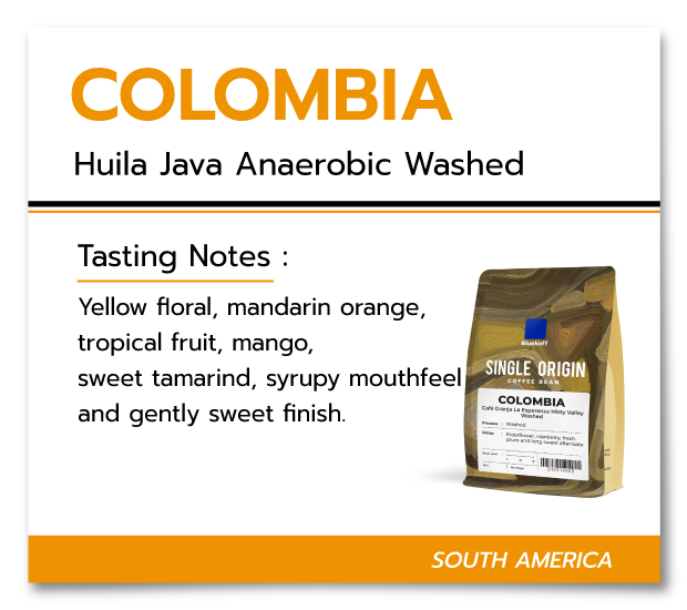 Colombia Huila Java Anaerobic Washed - Bluekoff : Good Coffee Maker