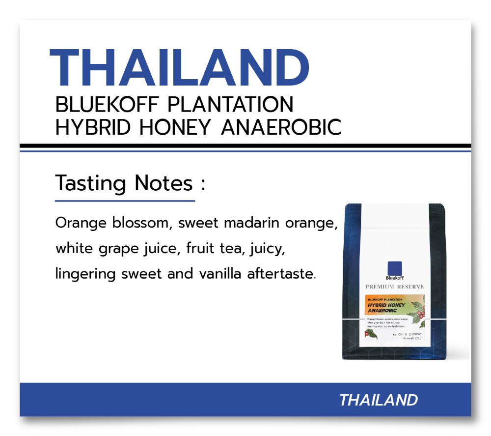 Bluekoff Plantation Hybrid Honey Anaerobic - Bluekoff : Good Coffee Maker