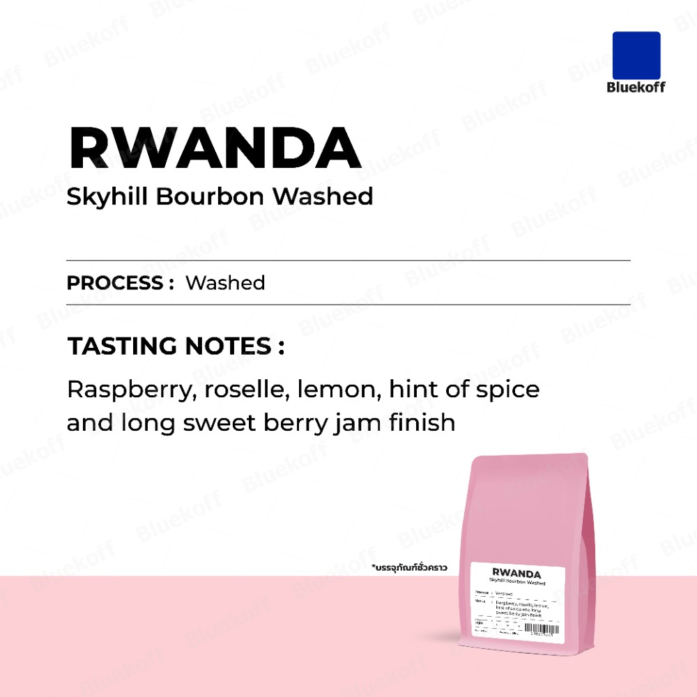 Rwanda Skyhill Bourbon Washed - Bluekoff : Good Coffee Maker